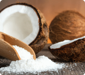 Oil To Powder Converter & Manufacturer USA: O2Pus